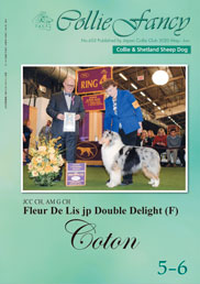 一般社団法人 日本コリークラブ